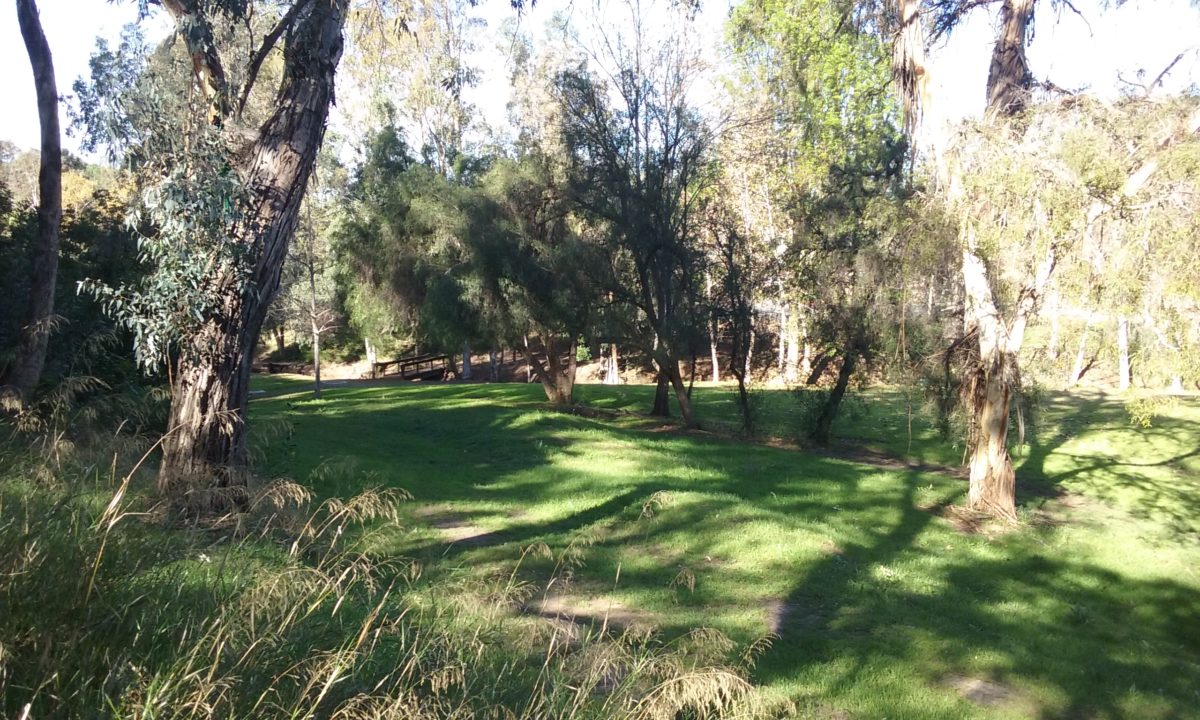 Gilman Park – Fullerton Walks