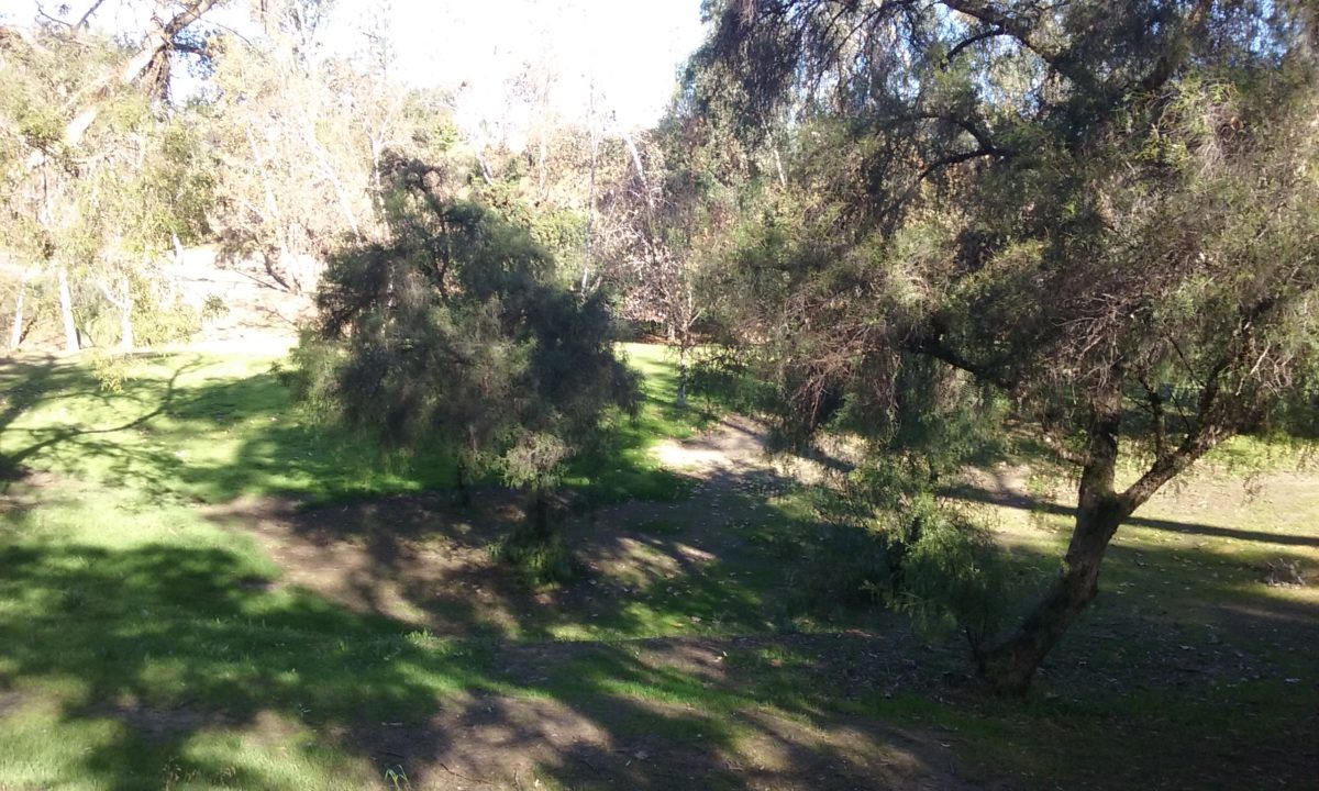 Gilman Park – Fullerton Walks