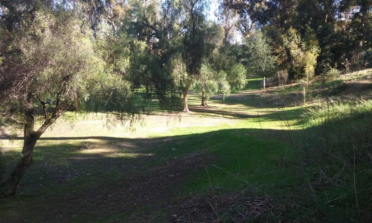 Gilman Park – Fullerton Walks