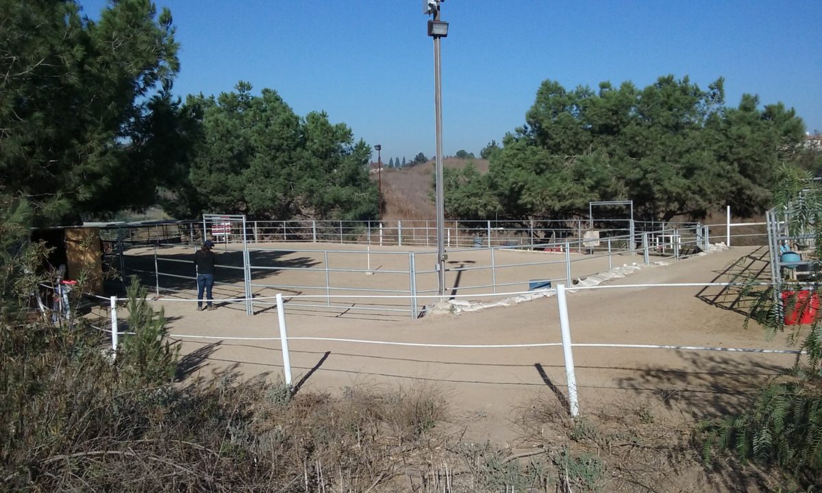 Brea Dam Recreational Area (upstream of the dam) – Fullerton Walks