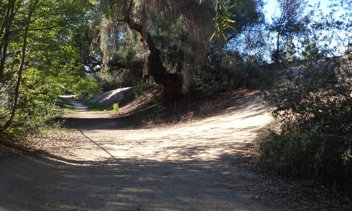 San Juan Park – Fullerton Walks